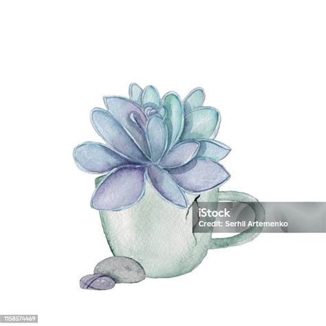 냄비에 다육 식물이있는 수채화 손으로 그린 그림 직물 엽서 결혼식 또는 인사말 카드 책 포스터 티셔츠 배너 엠블럼 로고에 대한 수채화 그래픽 그림 격리된 개체입니다 결혼식에