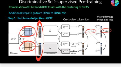 Dino V2 Learning Robust Visual Features Without Supervision — Model Explained