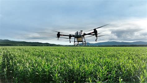 How Drones Revolutionize Farming Early Disease Detection And Targeted Treatment
