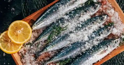 Mackerel Fish In Bengali 7 Benefits Side Effect Nutrient Types