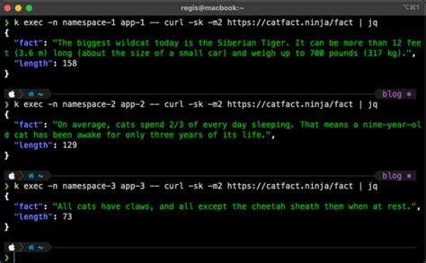What You Cant Do With Kubernetes Network Policies Unless You Use