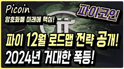 파이코인 12월 로드맵 전략 공개 2024년 거대한 폭등을 맞이할 파이코인 Picoin 파이코인 알트코인 Youtube
