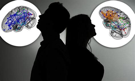 Men S And Women S Brains The Truth As Research Proves The Sexes Brains ARE Wired Differently