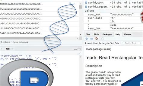 Online Course Reverse And Complement Nucleic Acid Sequences Dna Rna Using R From Coursera