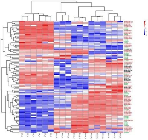 network visualization plots a clustering dendrograms of genes with
