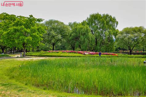 서울시 내 손안에 서울