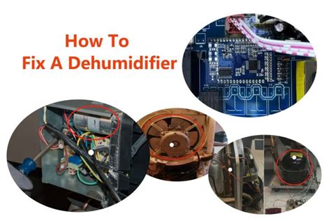 Complete Guide For How To Fix A Dehumidifier CarDehumidifiers Com