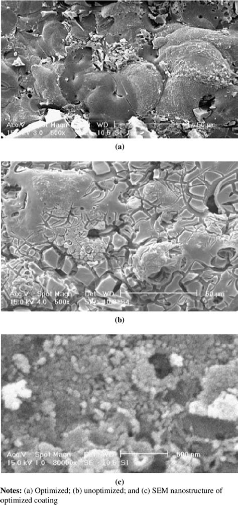Sem Micrograph From Final Tio 2 Nanostructured Coating In Different Download Scientific Diagram