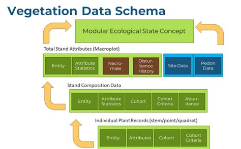 Chapter 3 Vegetation Databases Essentials Of Vegetation Data