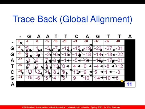ppt lecture 2 pairwise sequence alignment eric c rouchka d sc eric rouchka
