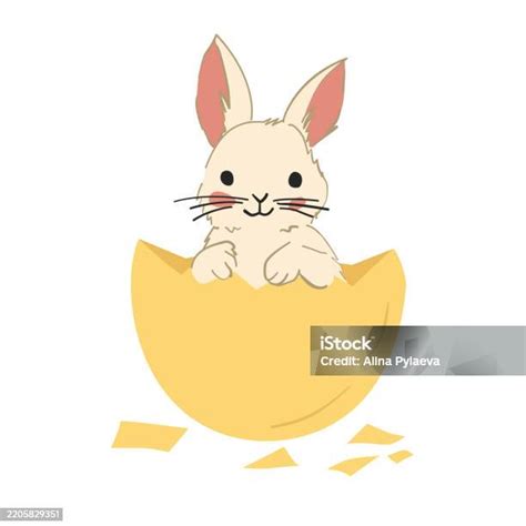 깨진 노란색 달걀에서 나오는 토끼가 있는 흰색 배경 조개 조각으로 둘러싸여 있어 부활절 테마 장식에 이상적입니다 계절에 대한 스톡 벡터 아트 및 기타 이미지 Istock