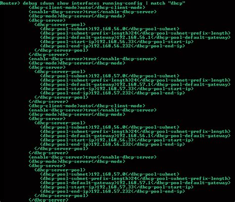How Do I Check The Dhcp Related Settings Of An Interface Using The Cli
