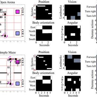 Examples Of Spatial Navigation Under The Conditions Open Arena And