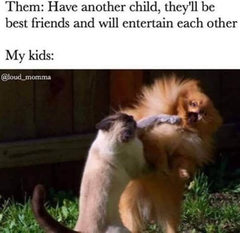 65 Funny Mom Memes That Will Make You Laugh Momalot