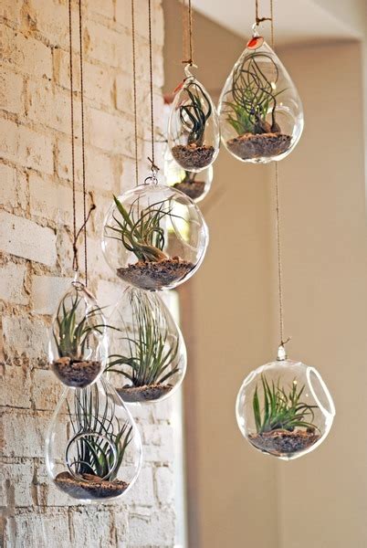 8 Maneras Originales De Cultivar Plantas Dentro De Casa Conciencia Eco