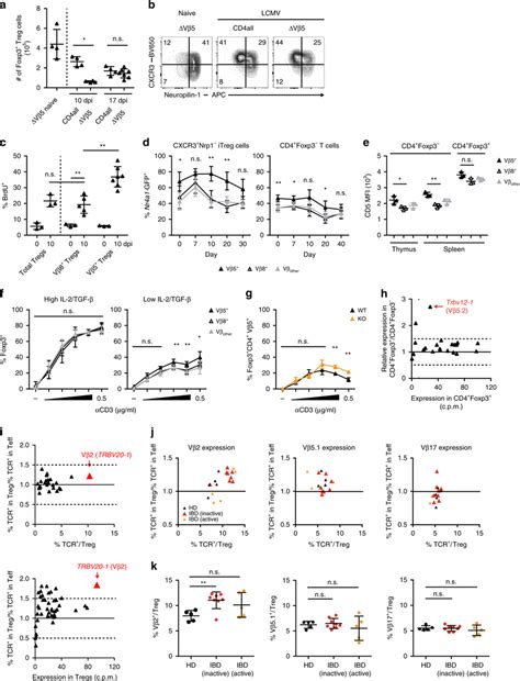 Cd4⁺vβ5⁺ T Cells Readily Convert Into Itreg Cells Tcrb− −tcrd− − Mice Download Scientific