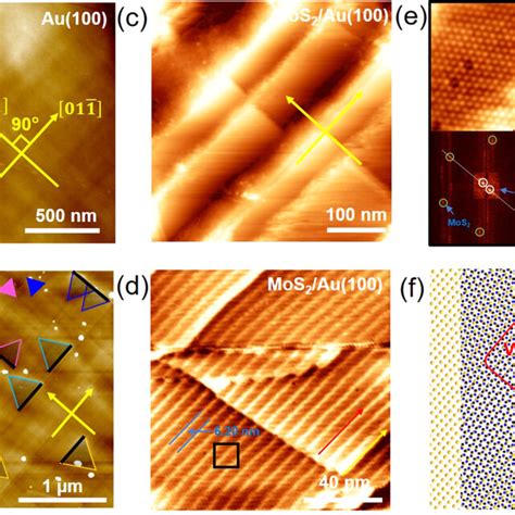 Monolayer MoS2 Domains On The Stepped Au 111 Surface A AFM Image Of
