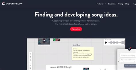 Sonify Análisis【2025】