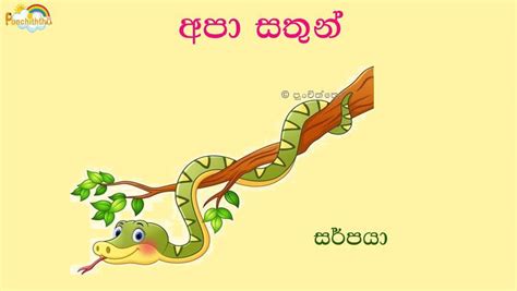 පාරුව පාද සංඛ්‍යාව අනුව සතුන් වර්ගීකරණය Facebook