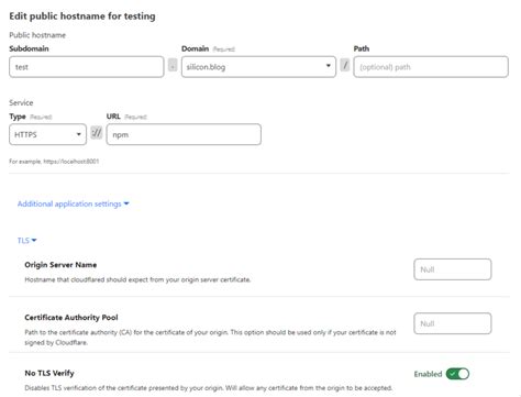 How To Hide Your HTTPS Service Port Using Cloudflare Tunnel With Nginx Proxy Manager