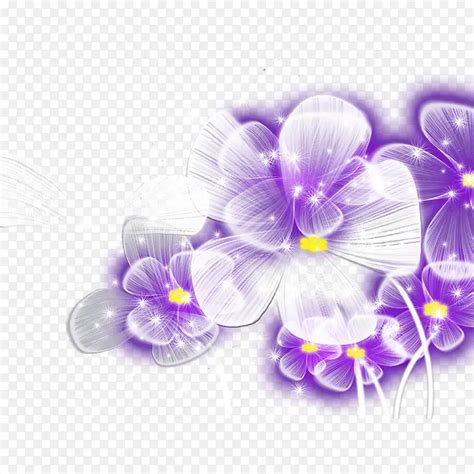 透明花图片PNG图片素材下载 图片编号ymzpdvaq 免抠素材网