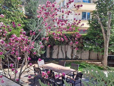 Новинарска 🇧🇬 Днес 6 септември събота от 10 00 ч пред Паметната плоча на загиналите за