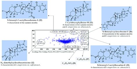 Assignment Of Buckets Showing Great Variance In The Loadings Plot Of Download Scientific