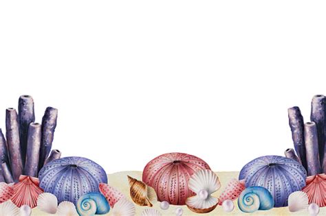 산호 성게 조개가있는 수채화 구성 흰색 고립된 배경에 수중 생물 물체를 손으로 칠하는 클립아트 디자이너 장식 엽서 포장지 스크랩북 표지 초대장 웨딩 디자인 포스터 및 섬유