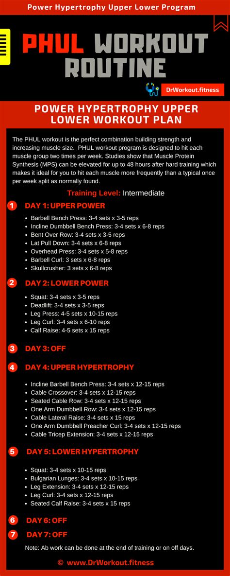 Power Hypertrophy Upper Lower Phul Workout Routine With Spreadsheet Pdf