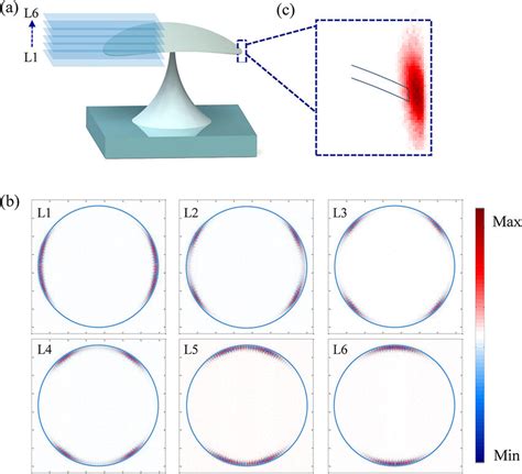 3d fdtd simulation results a illustration of the simulation model download scientific