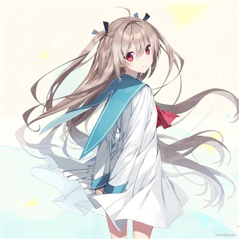 【双指针问题】leetcode：392、3、11问题详解及代码实现双蛋问题 Leetcode Csdn博客