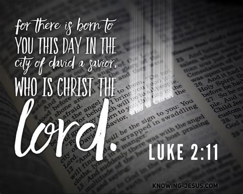 13 Bible Verses About Jesus Christ Savior