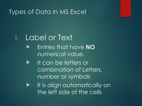Lesson 2 2 Excel Data Types And Mouse Pointers Pptx