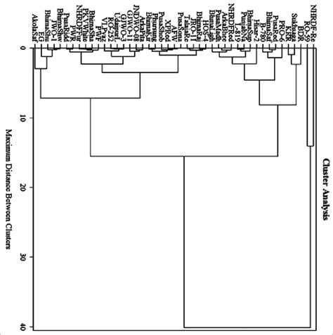 Dendrogram Obtained From Euclidean Distance And Unweighted Pair Group