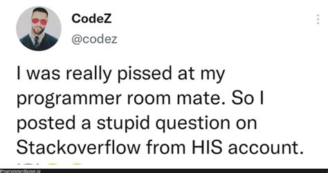 And He Took Part In The Creation Of Stackoverflow ProgrammerHumor Io
