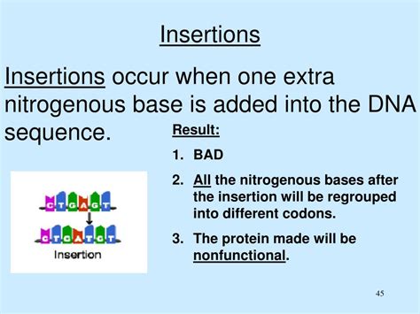 PPT Presenting DNA And RNA PowerPoint Presentation Free Download ID