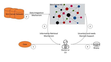 Framework For The Skin Cancer Knowledge Graph Download Scientific Diagram
