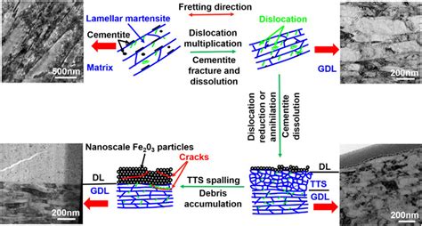 Model Of The Evolution Of The Microstructure Of The Worn Subsurface