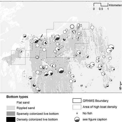 —spatially Explicit Pie Plot Showing Size And Abundance Of Black Sea Download Scientific