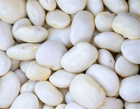What Beans Are Your Favorite Girlsaskguys