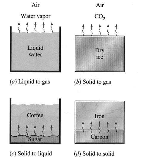 Exercise Media For Diffusional Mass Transfer — Introduction To