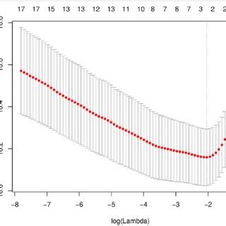 Elastic Net Regularization Process With Partial Likelihood Deviance