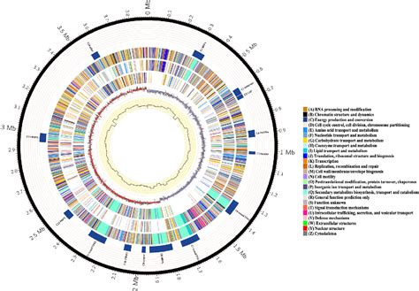 Figure 1 From Characterization Of A Bacillus Velezensis With Antibacterial Activity And Its
