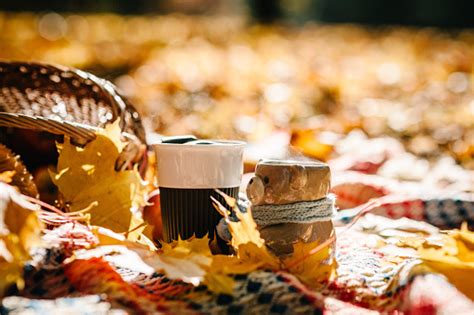 가을 단풍 커피 차 따뜻한 스카프 배경 공원에 담요의 뜨거운 김이 컵 계절 모닝 커피 일요일 계절 휴식 컨셉과 정물 0명에 대한 스톡 사진 및 기타 이미지 Istock