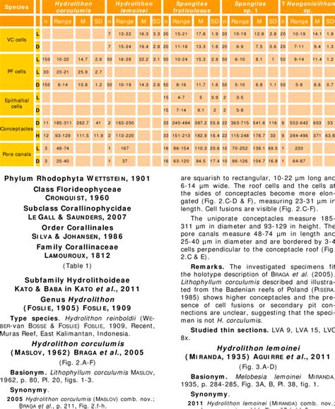 Comparison Of Biometric Measurements Of The Identified Species Download Table
