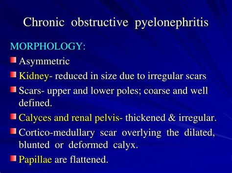Ppt Pyelonephritis Powerpoint Presentation Free Download Id 9434452