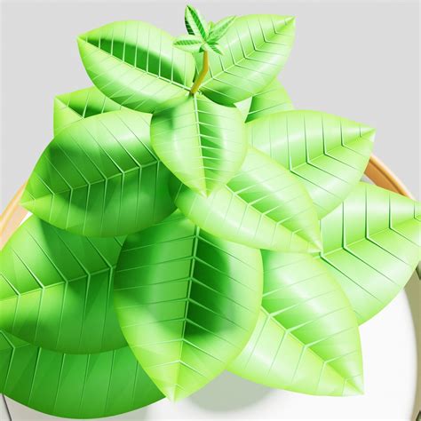 Leaf Modeling And Geometry Node Shading 3d Turbosquid 2136878