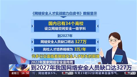 网络安全自学入门（超详细）从入门到精通，收藏这一篇就够了 Csdn博客
