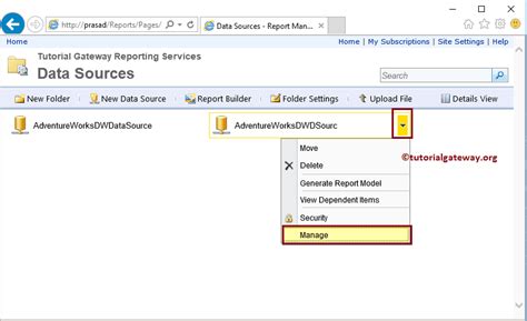Snapshot In Ssrs
