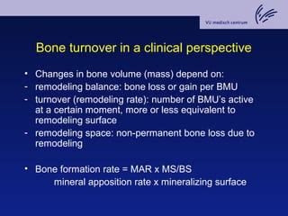 Seminar 04 03 2009 Bone Turnover In A Clinical Perspective Ppt